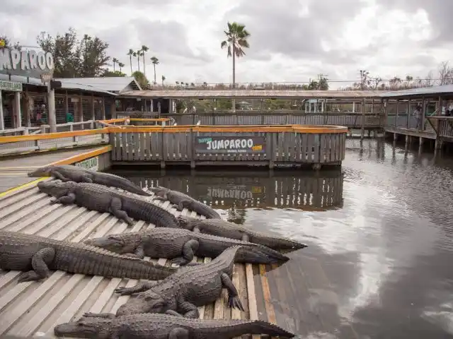 Gatorland General Admission Tickets 2025 Orlando | passforless.com